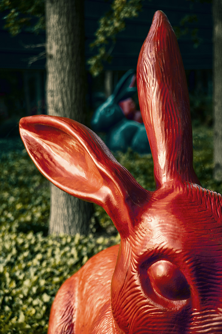 The forgotten land of the giant hares » Norman Guy Photography